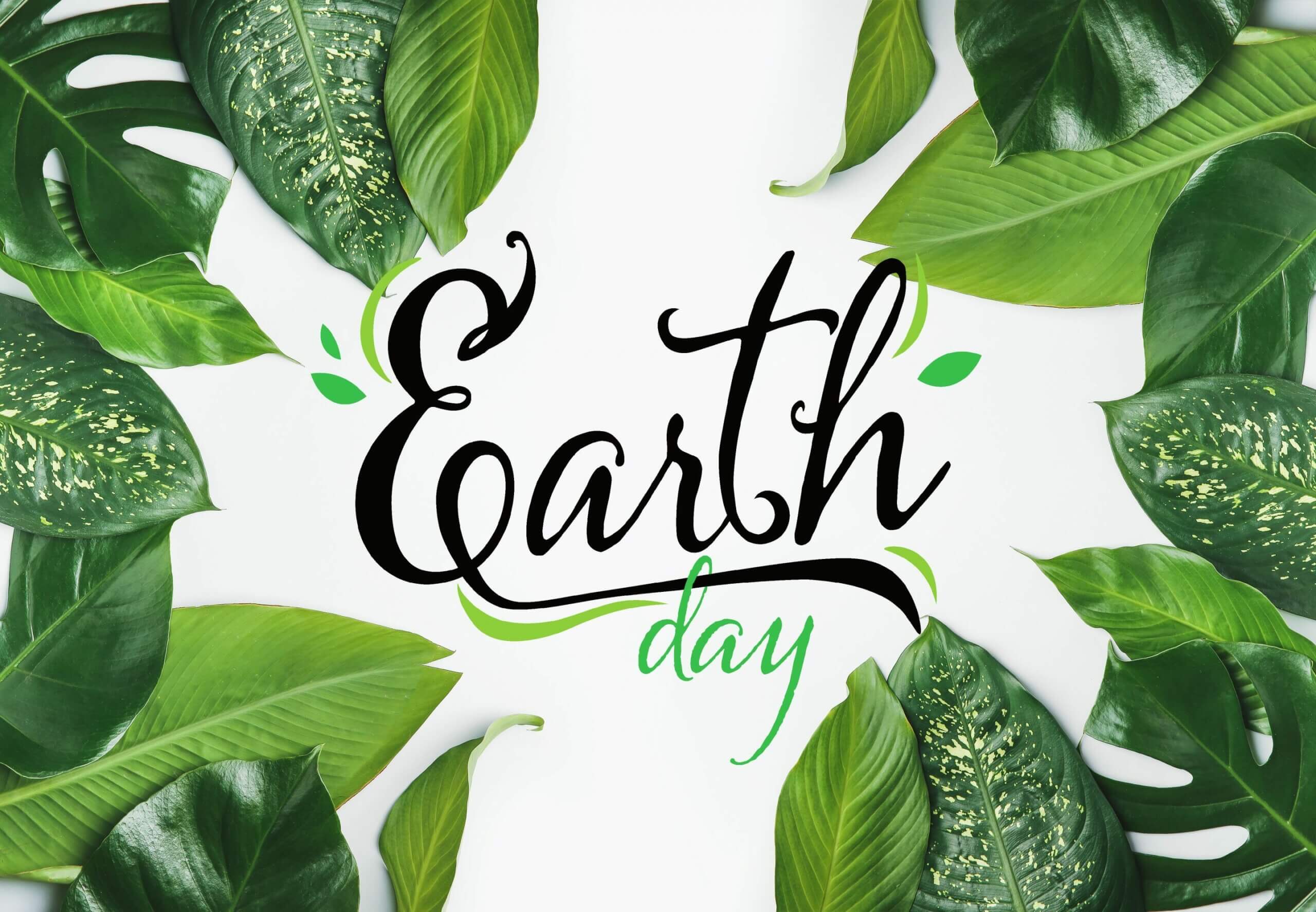BLOG: Earth Day Celebrates 50 Years by Observing Climate Action ...